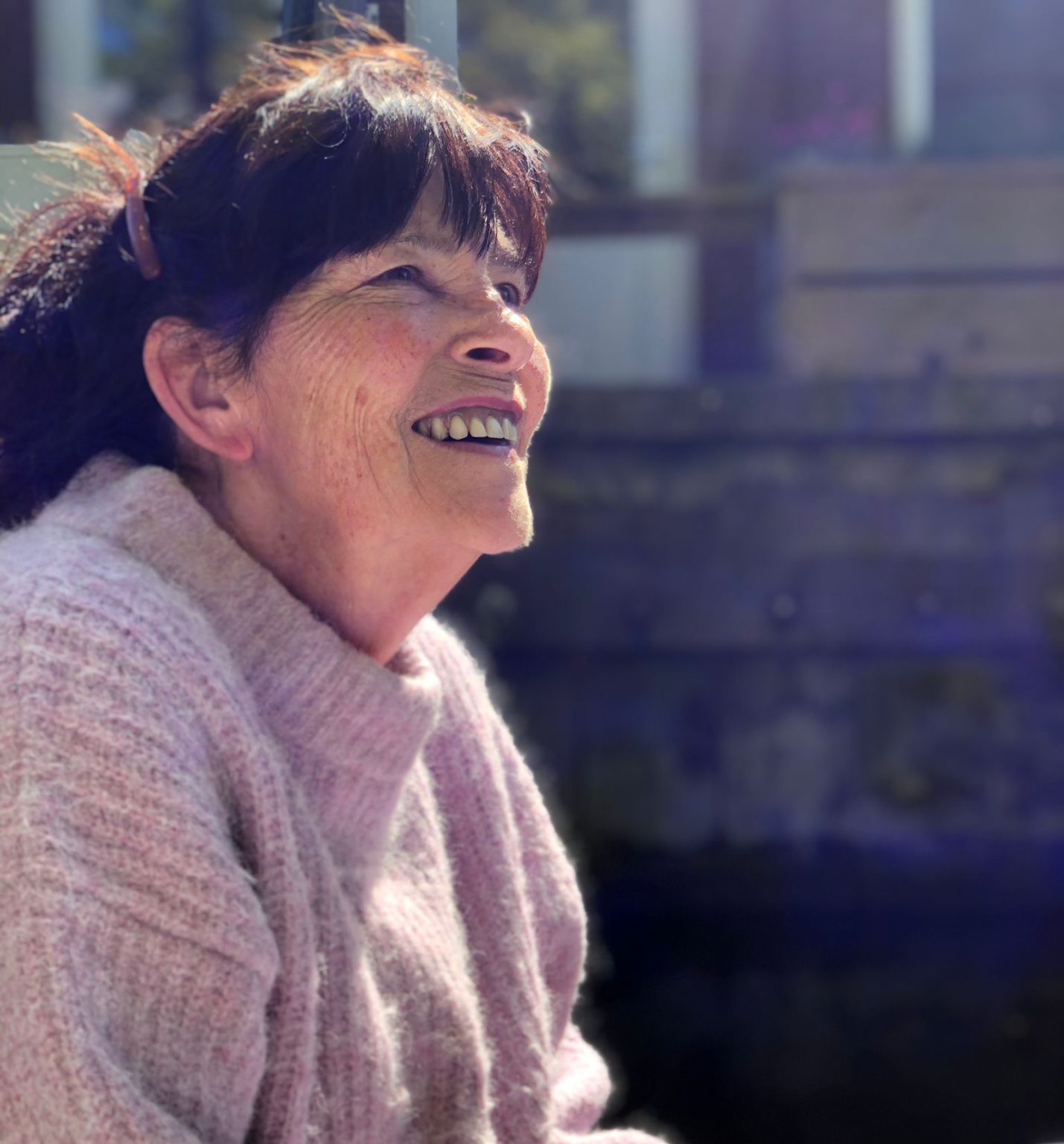 De Alkenaer – Podium voor cultuur en debat, antiquariaat & leescafé